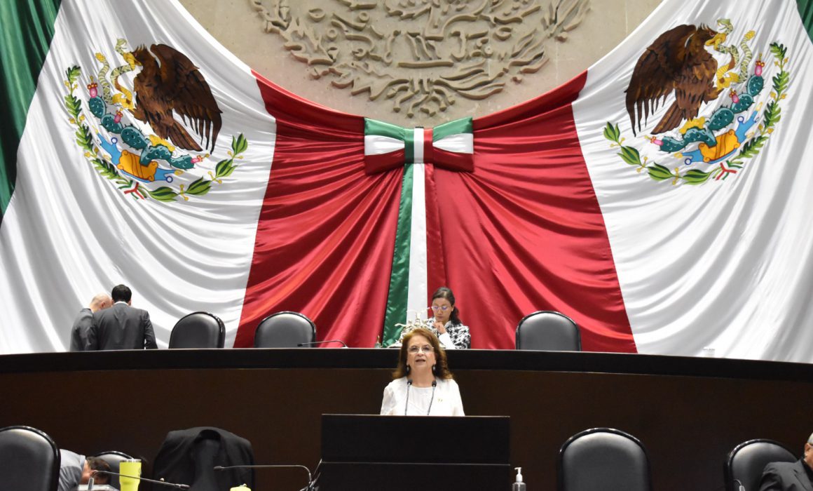 Aprueba Cámara De Diputados Que Imss Reciba Inmuebles Como Pago De Cuotas